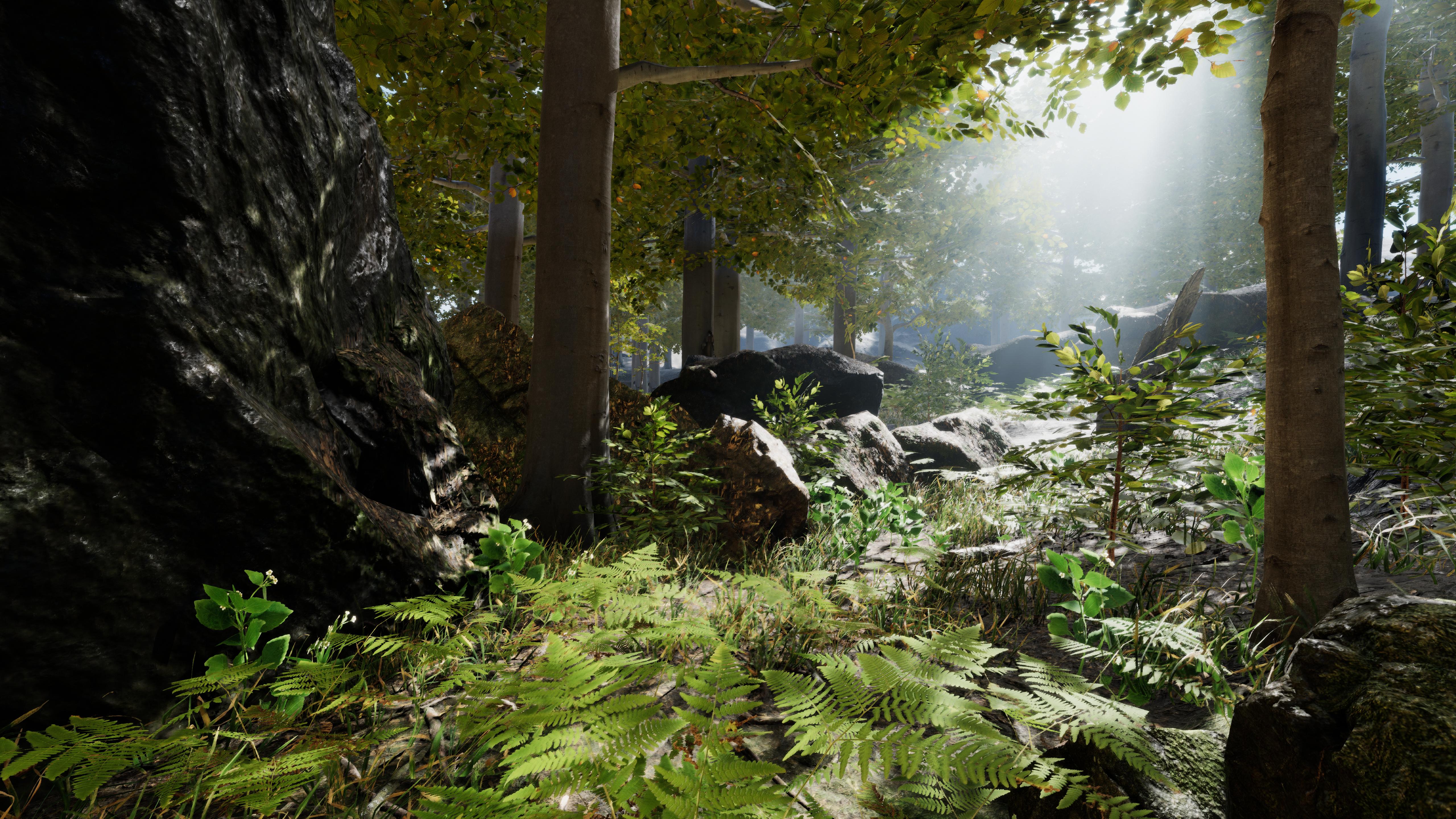 A Little Photo Realistic Speed Level Design Of Forest Xd Unity Connect 1958